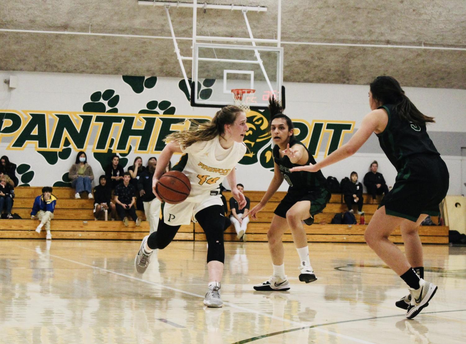 Best Years To Come For Panther Basketball – The Perennial